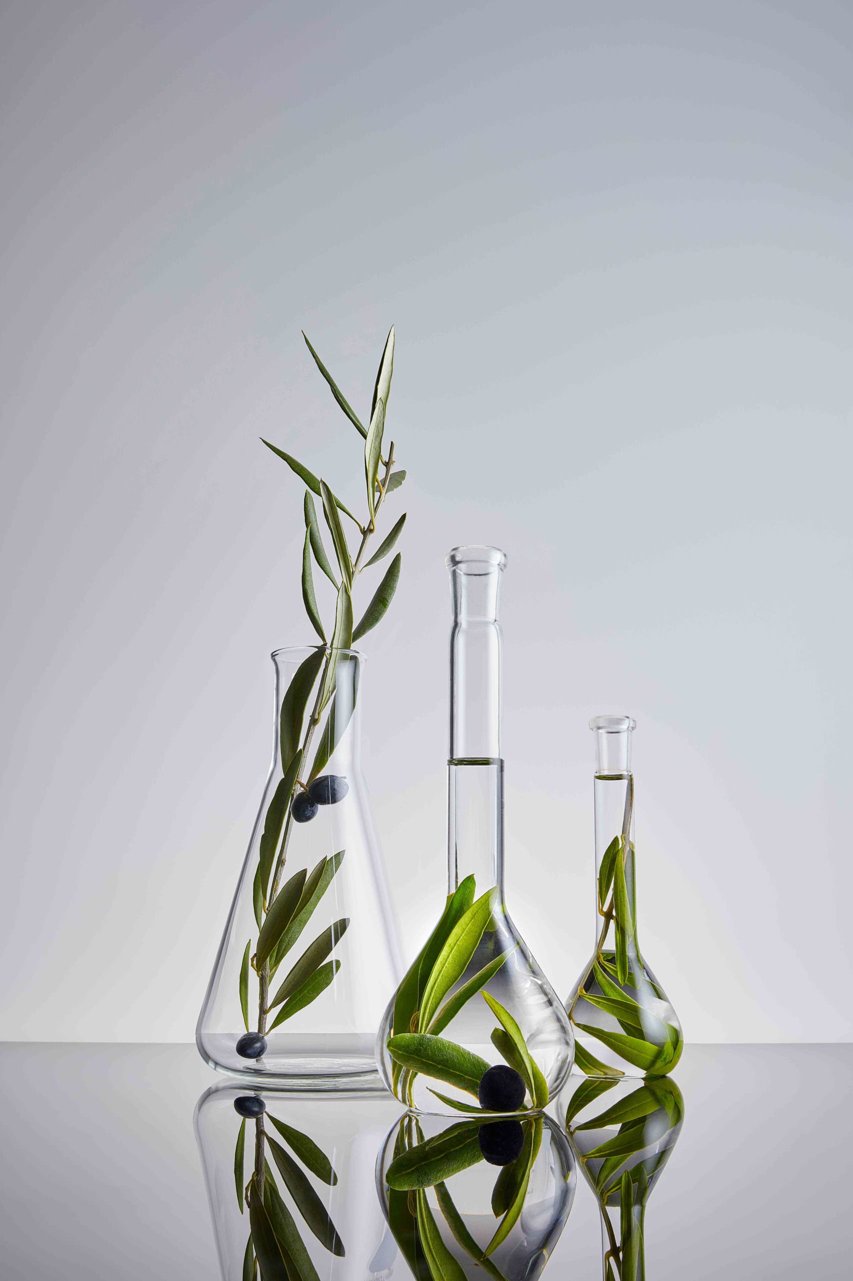 Squalane Végétal : ingrédient pour cosmétique – Sophim