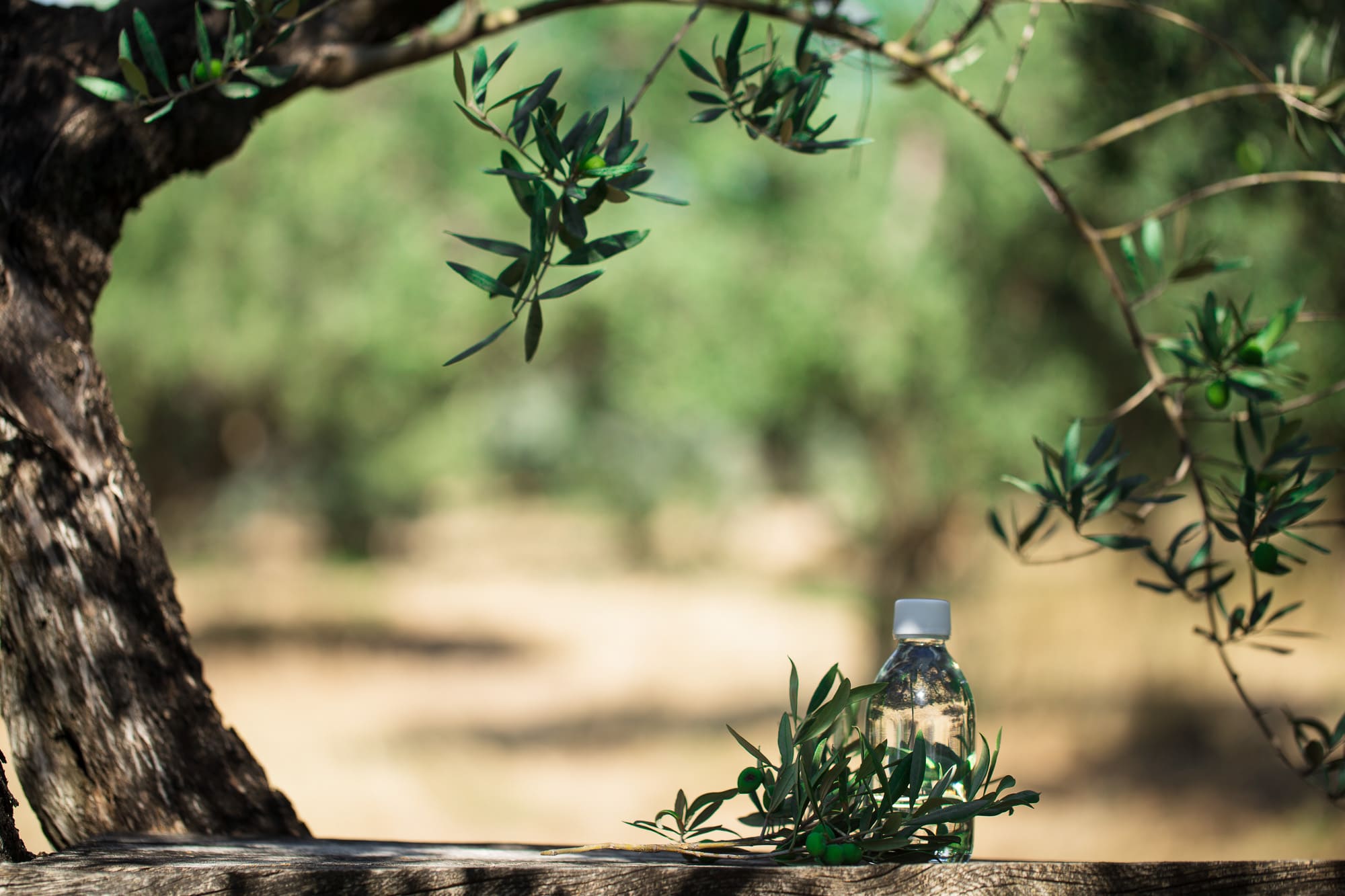 Cosmetic Ingredient Suppliers : natural ingredients - Sophim