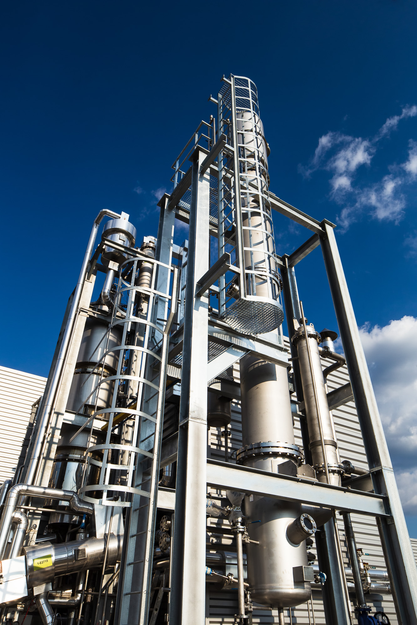 70 years of squalane history: Why is olive squalane taking the lead ...